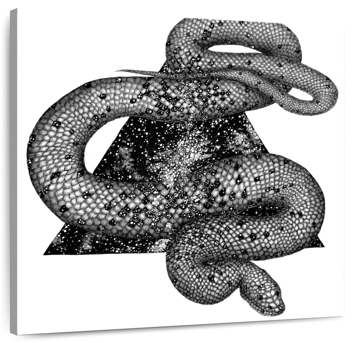 Ebern Designs Crowle Cosmic Snake | Wayfair