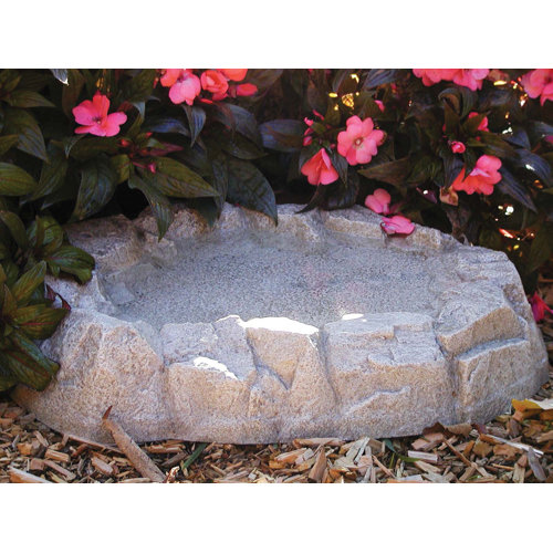 Wayfair | Small Bird Baths You'll Love in 2023