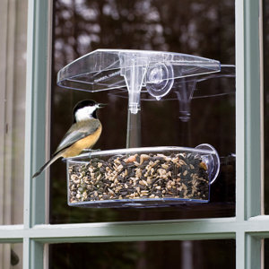 PetFusion Tranquility Window Tray Bird Feeder & Reviews | Wayfair