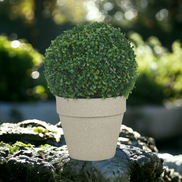 Latitude Vive Caydon Plant Pot | Wayfair.co.uk