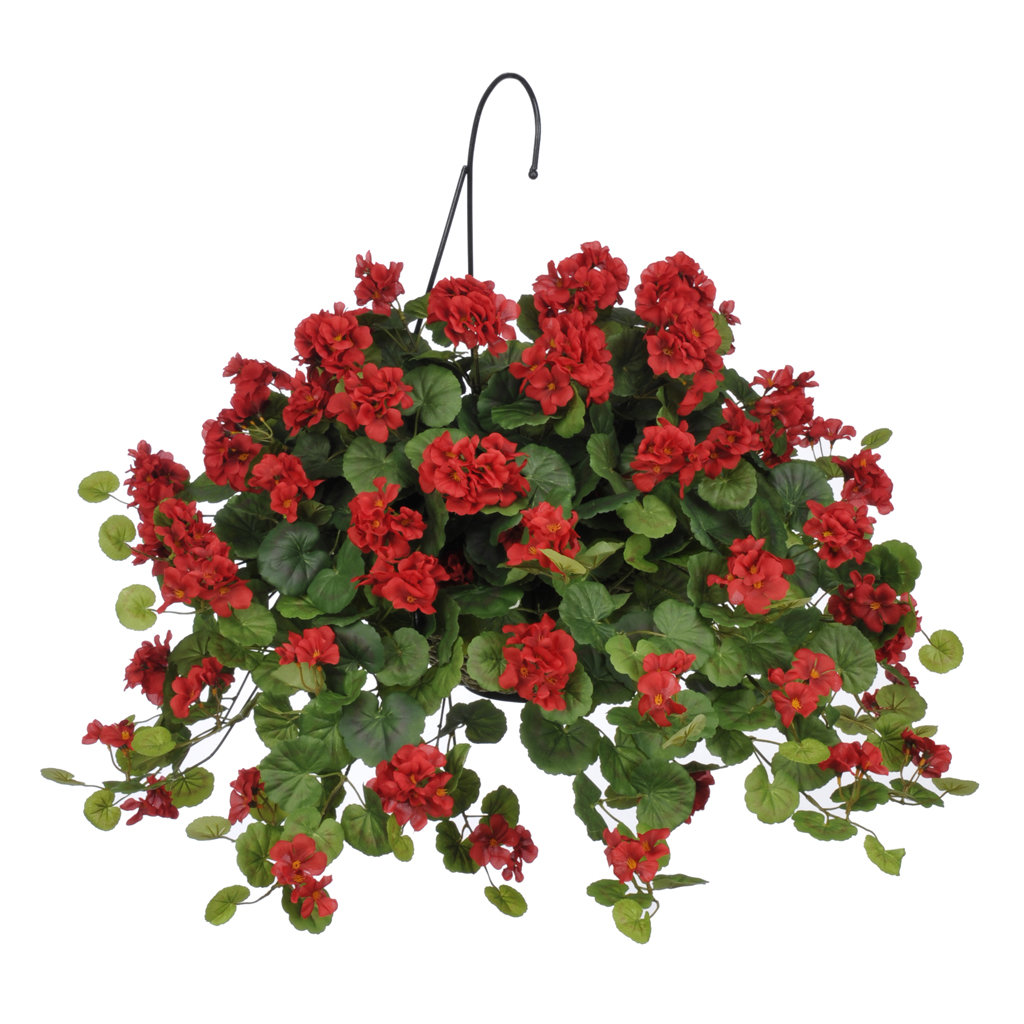 Rosalind Wheeler Artificial Geranium in Hanging Basket - Wayfair Canada