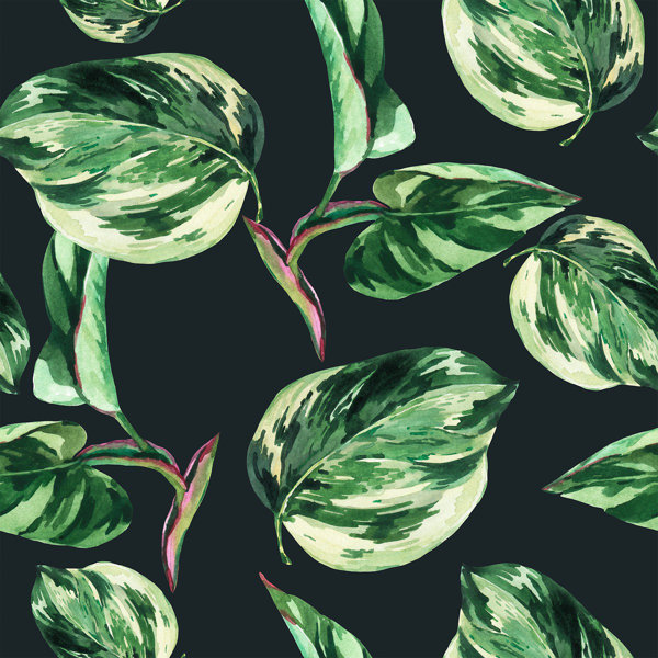 Bayou Breeze Barnish - Wayfair Canada