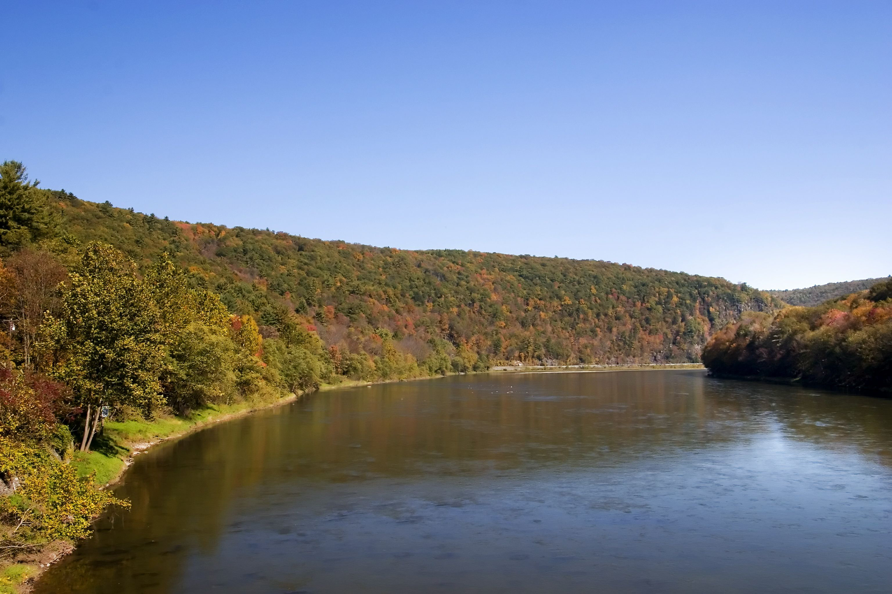 Millwood Pines River Curve by Samaro - Wrapped Canvas Photograph | Wayfair