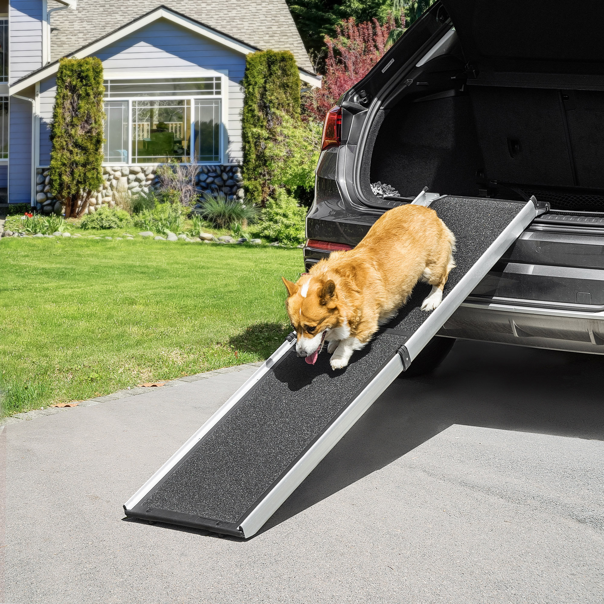 Tucker Murphy Pet™ Tucker Murphy Petâ„¢ Portable Folding Pet Ramp, Dog ...