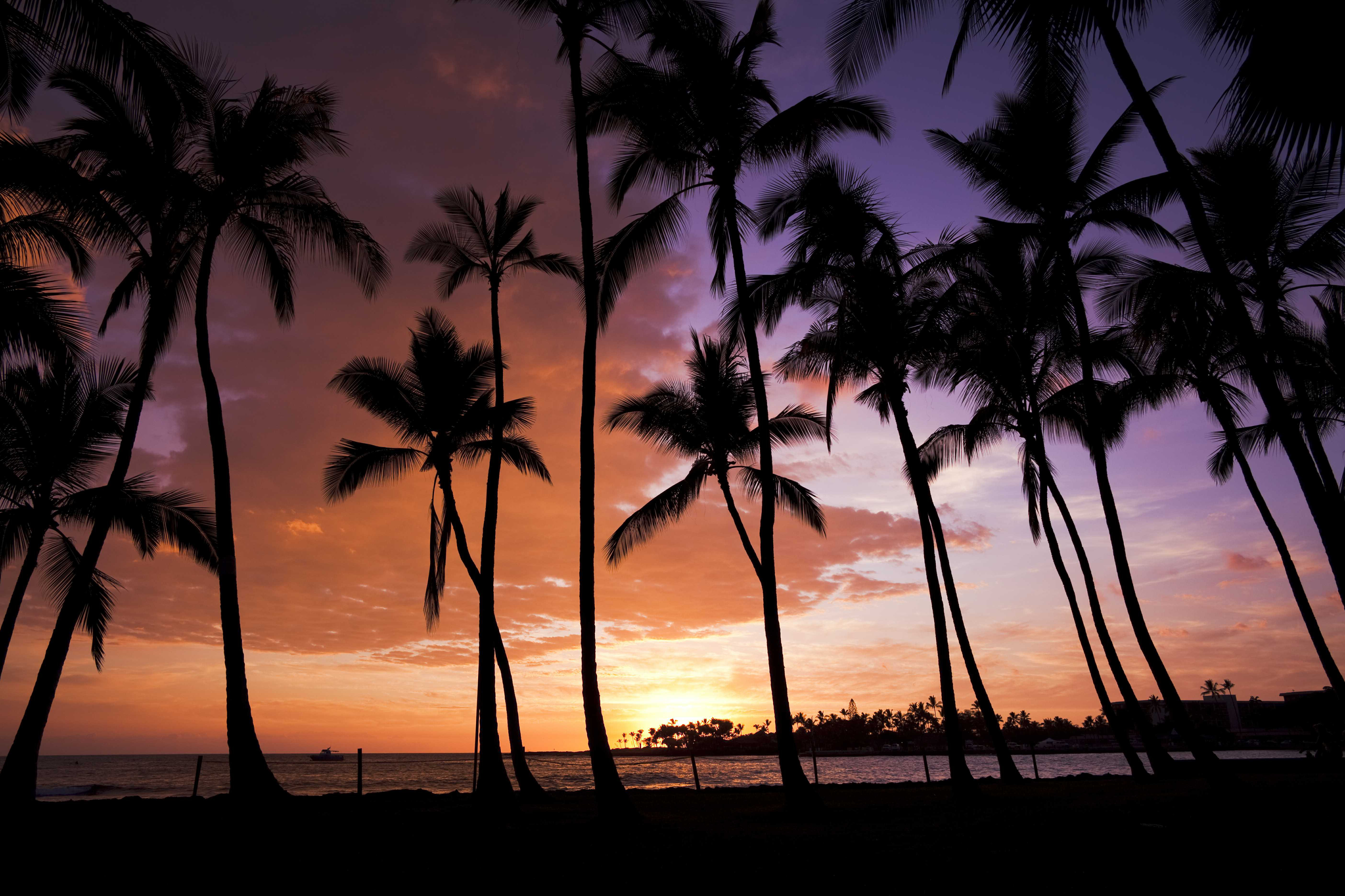 Bay Isle Home™ Kailua-Kona Sunset - Wrapped Canvas Photograph | Wayfair