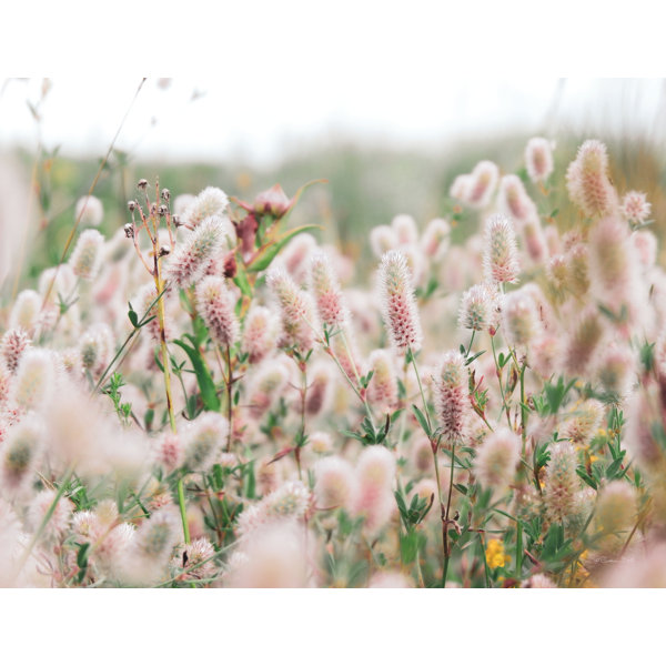 Ebern Designs Boho Flower Field On Canvas by Susan Ball Print | Wayfair