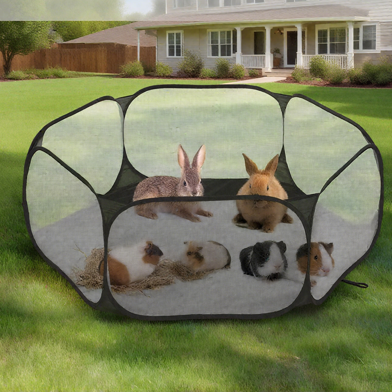 Tucker Murphy Pet™ Waterproof Small Pet Cage Tent For Small Animals ...