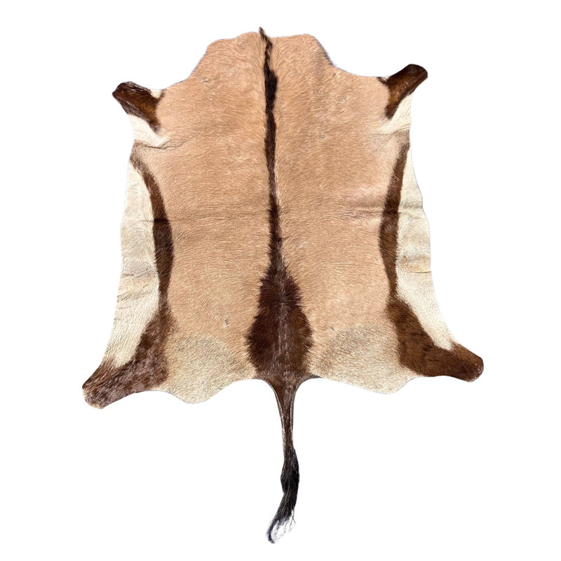 Foundry Select Real Gemsbok Skin Rug/ Oryx Skin Rug | Wayfair