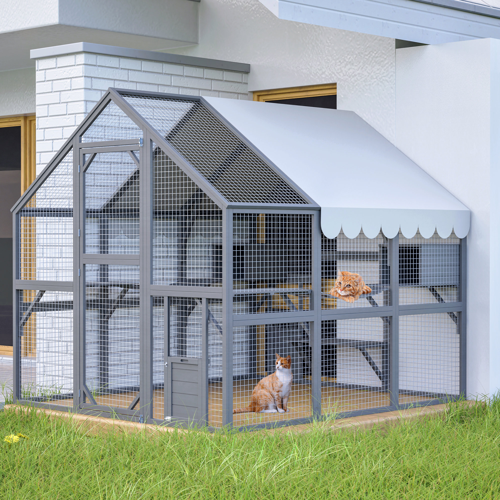 Tucker Murphy Pet™ Outdoor Cat Haven, 110 Inch Luxury Cattery With ...