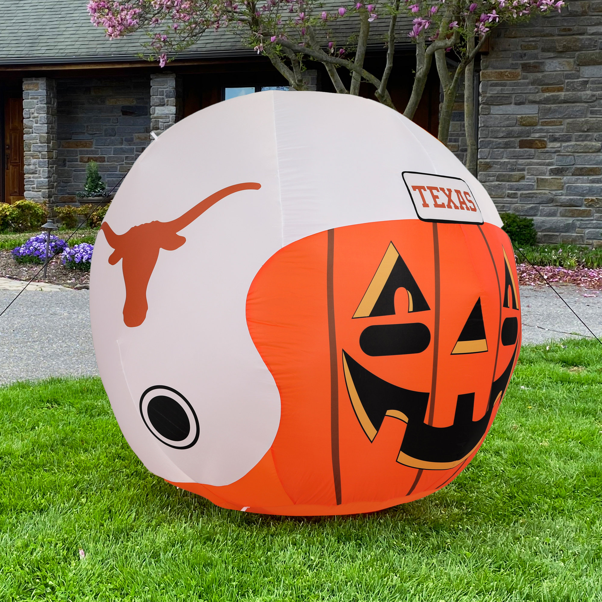 sporticulture NCAA Texas Longhorns Inflatable Jack O'' Helmet - Wayfair ...