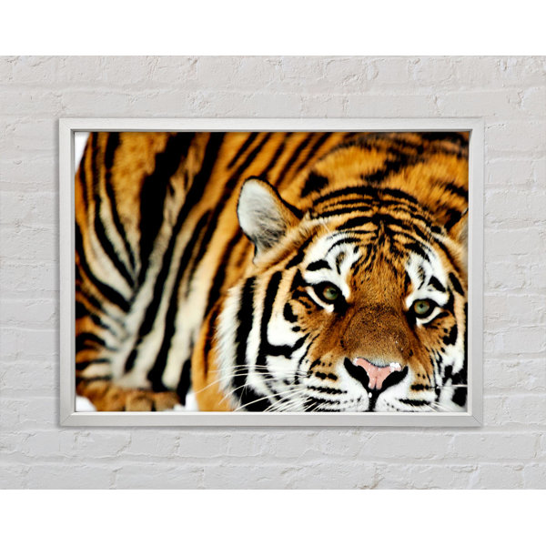 Ebern Designs Tiger Snow Nose - Single Picture Frame Art Prints on ...