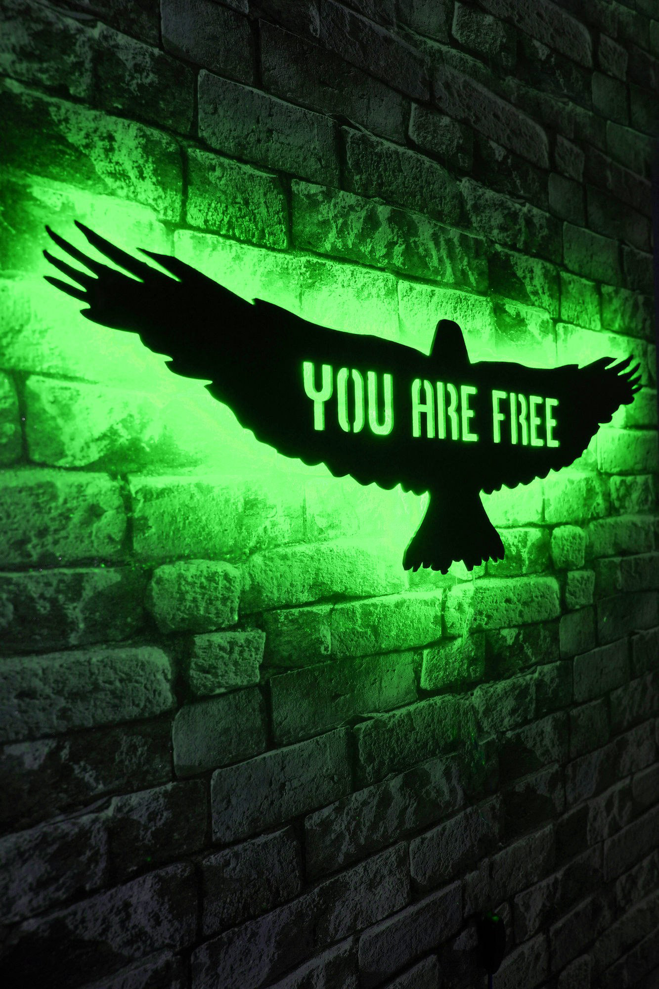 Asir Group INC Decorative Led Lighting - Wayfair Canada