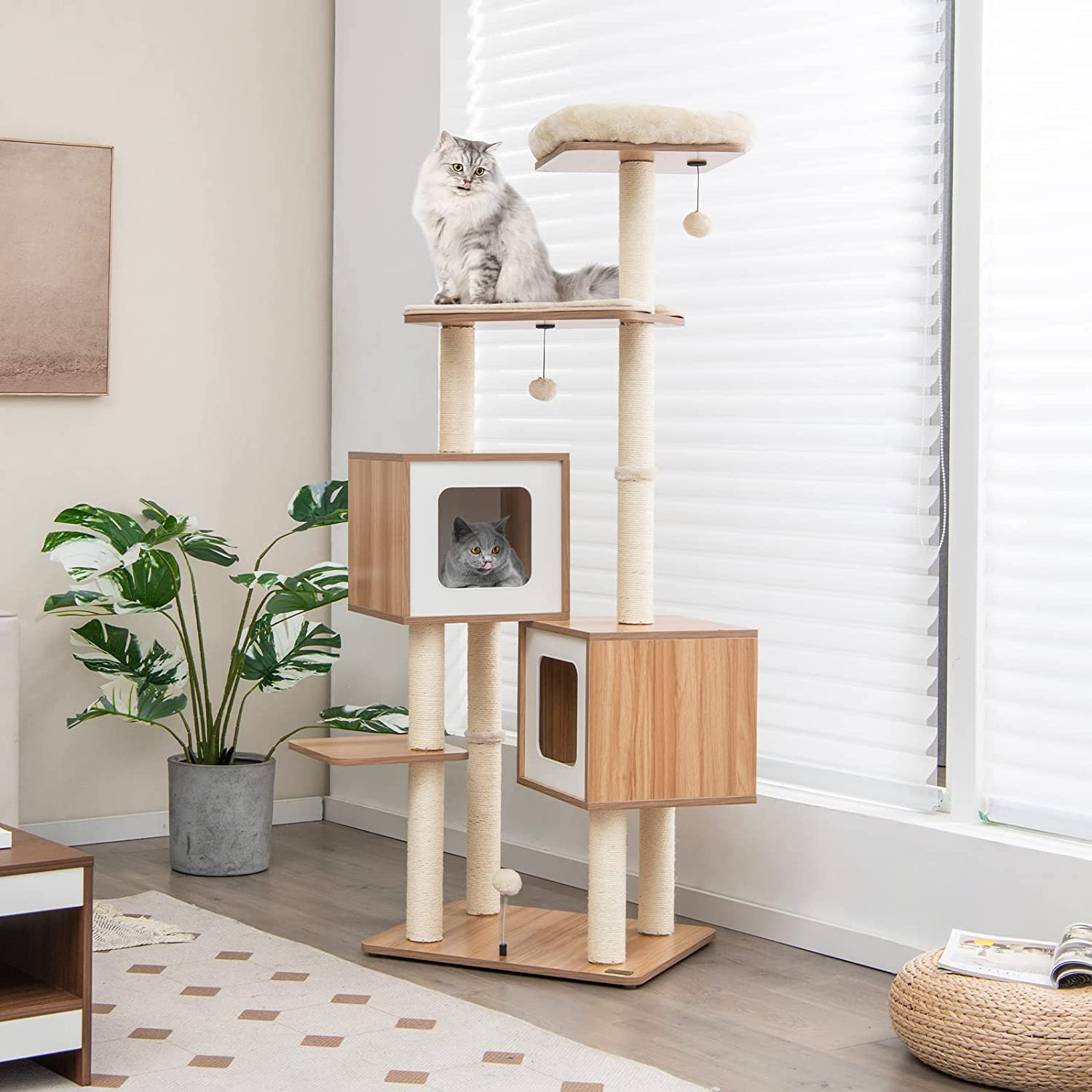 Modern Cat Shelves