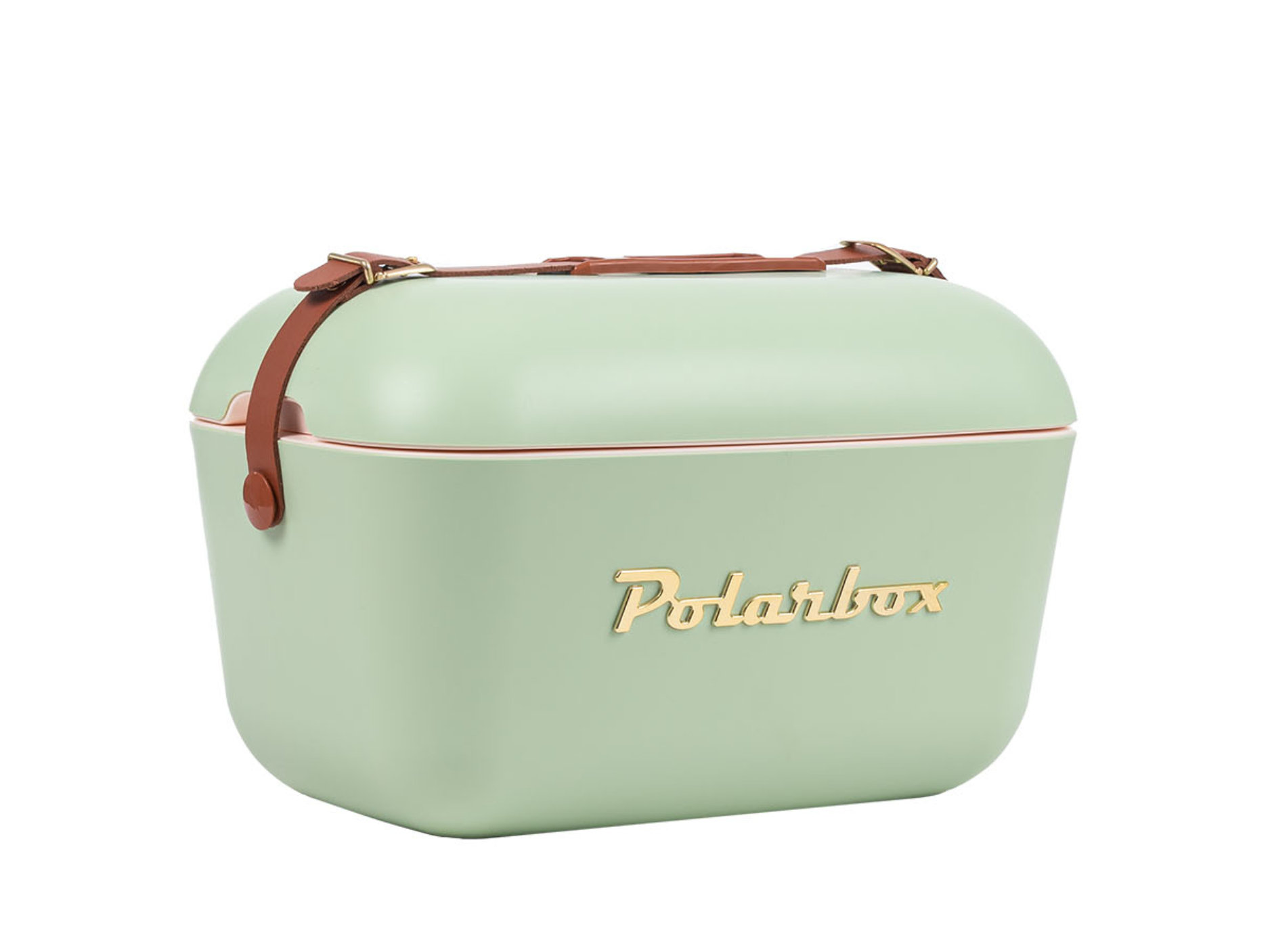 Polarbox 21qts Portable Cooler Pop - Wayfair Canada