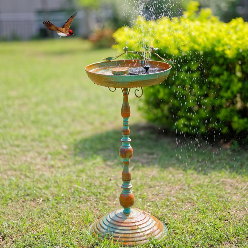 Canora Grey Corrida 13'' Dia Bird Bath Bowl with Hummingbird Pattern ...