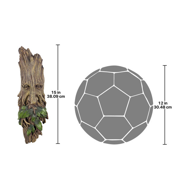 Design Toscano Faces In The Trees Tree Face Wall Decor & Reviews | Wayfair