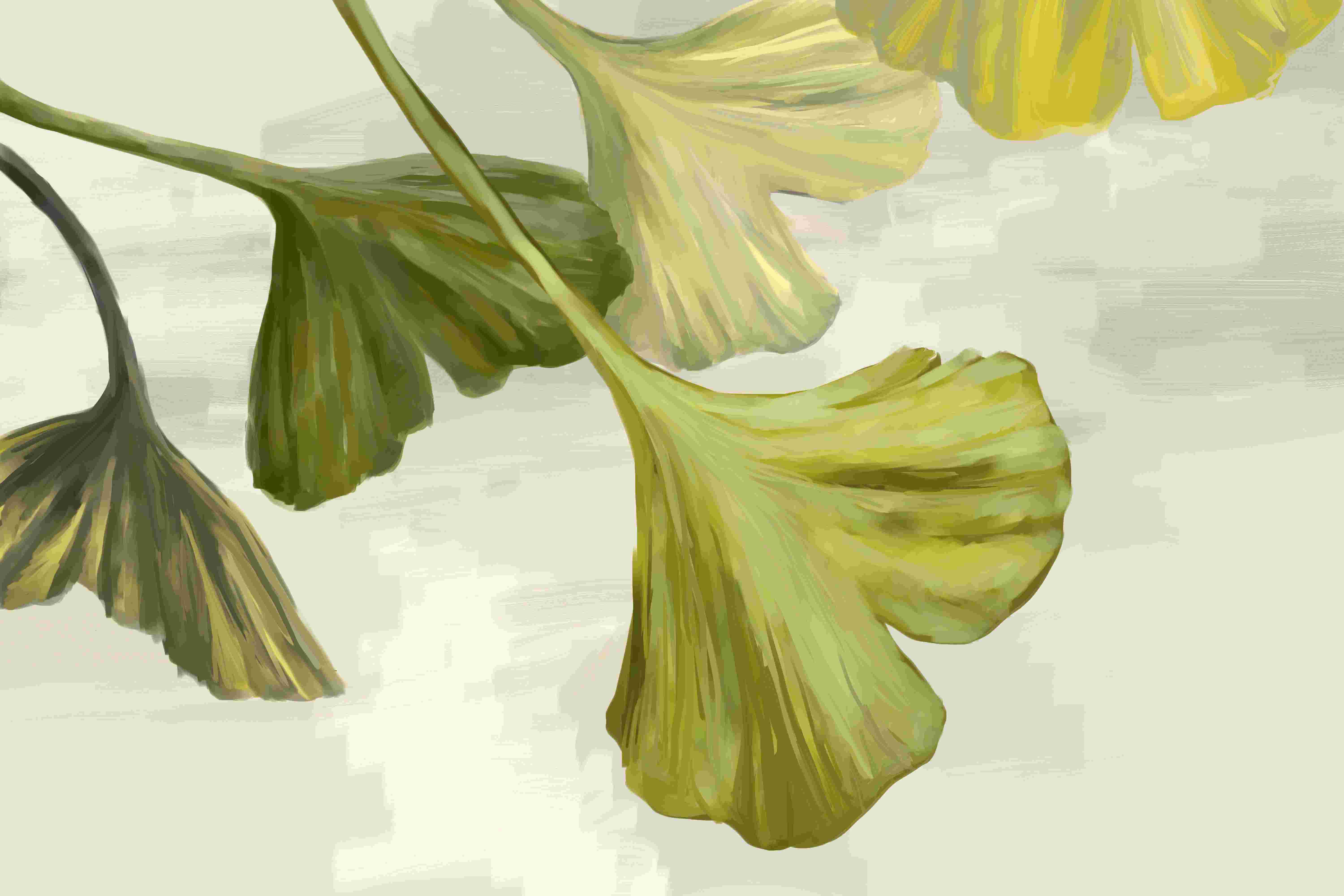 Bay Isle Home™ Gingko Paint - Wayfair Canada