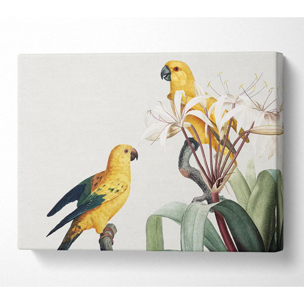 Bay Isle Home Two Yellow Parrots - Wrapped Canvas Art Prints | Wayfair ...