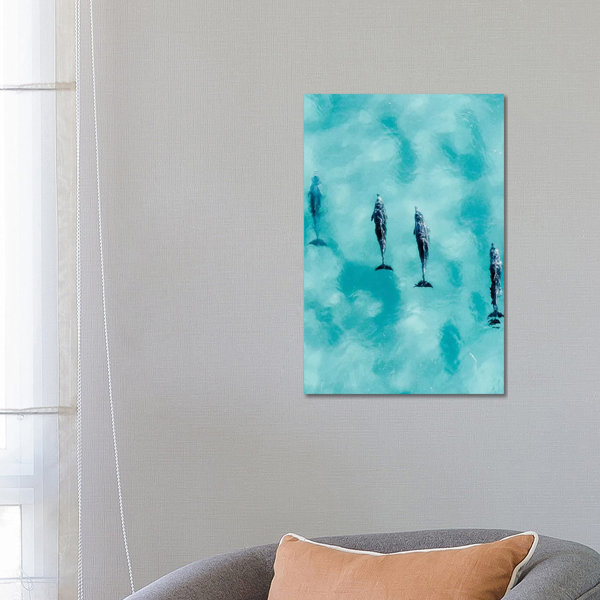Highland Dunes Cruisy Dolphins II - Wrapped Canvas Photograph | Wayfair ...