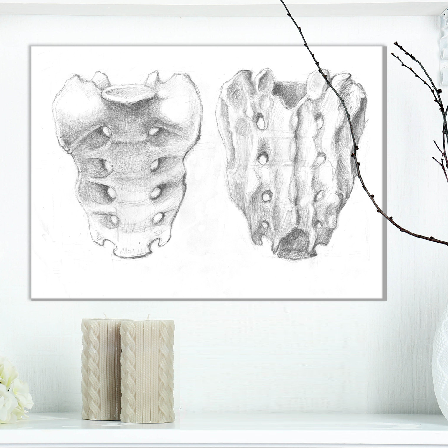East Urban Home Sacral Bone Double View - Drawing Print - Wayfair Canada