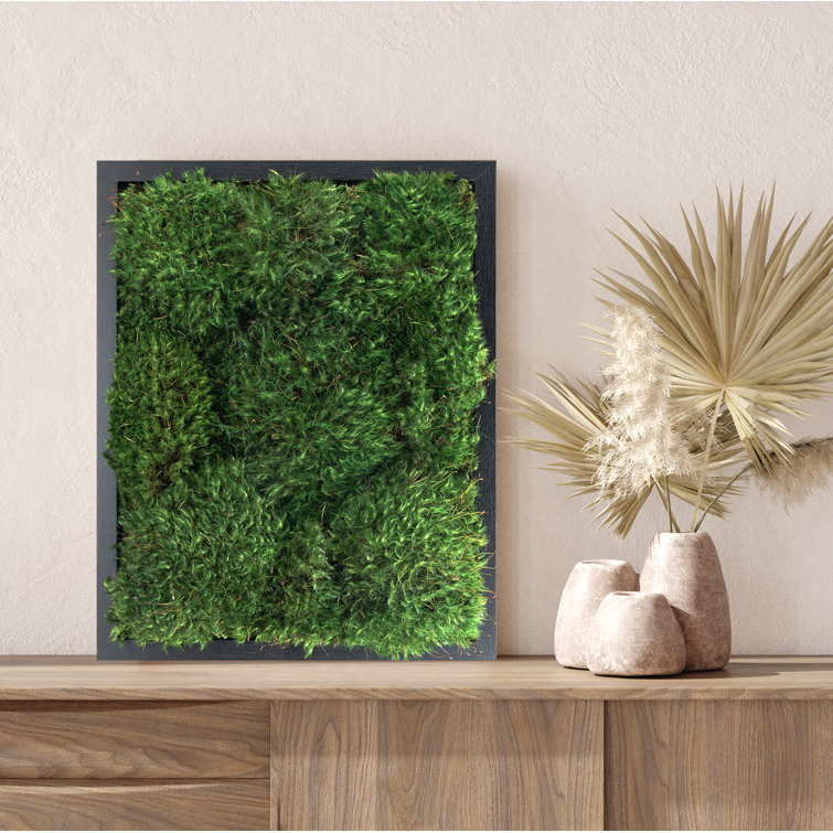 Moss Pure Live Moss Air Filter in Black | Wayfair