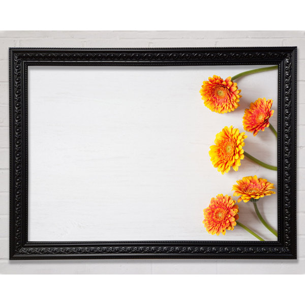 Ebern Designs Orange Gerberas Laid Out - Single Picture Frame Print ...