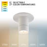 WAC Limited Twist-N-Lite LED Cylinder Mini Flush Mount Light & Reviews ...