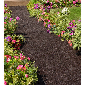 Arlmont & Co. Raedon Permanent Mulch Recycled Rubber Pathway & Reviews ...