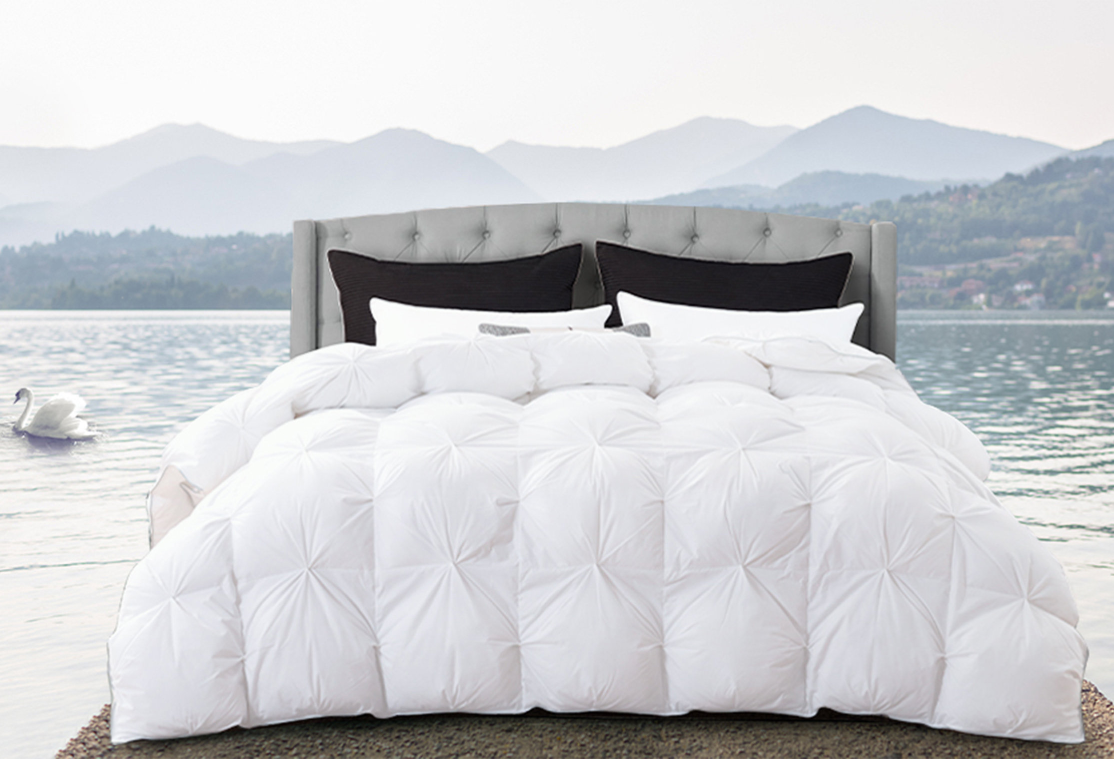 Alwyn Home All Seasons Goose Down Duvet Insert,750+ Fill Power | Wayfair