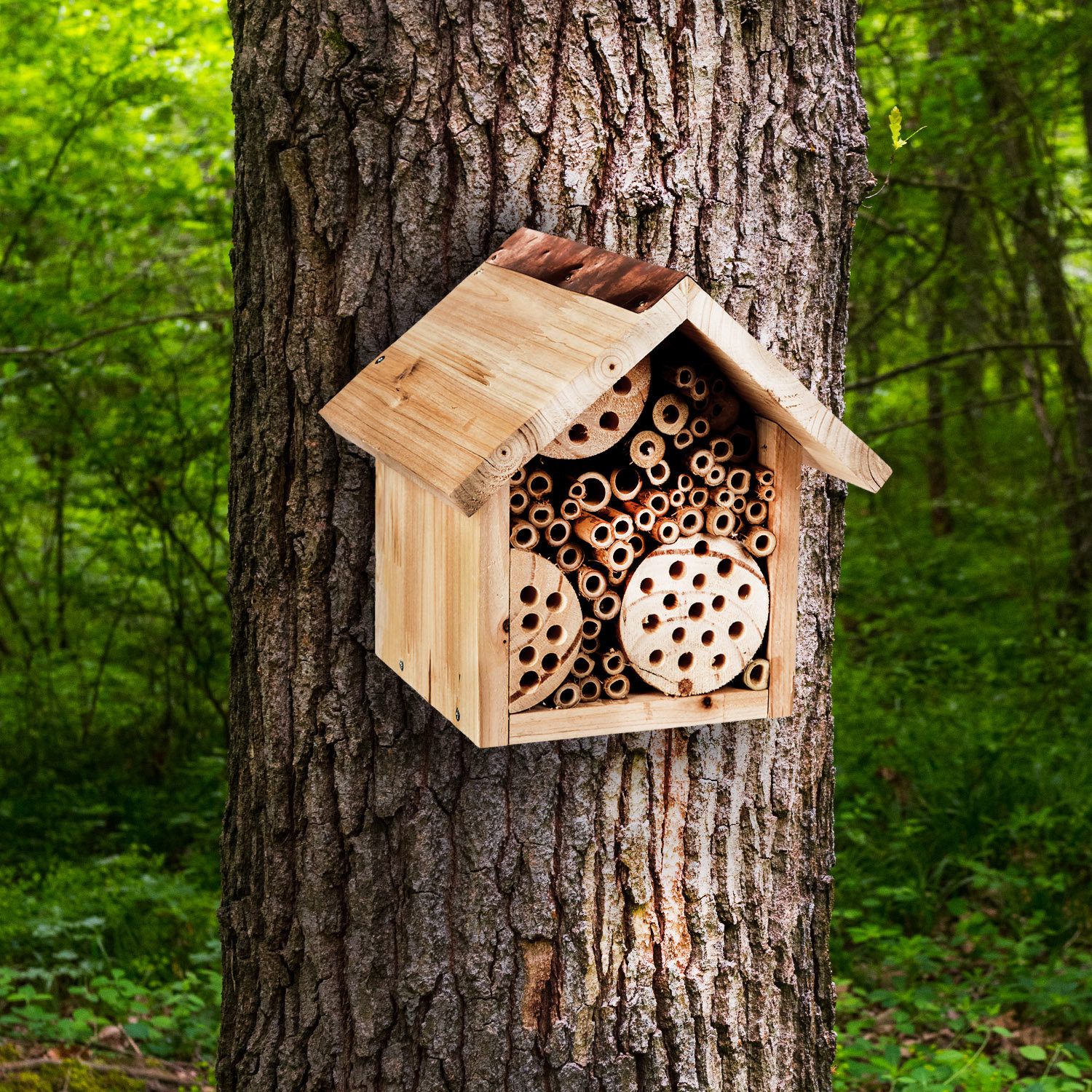 August Grove® Oshagan 8 in x 8 in x 7 in Bumblebee House & Reviews ...