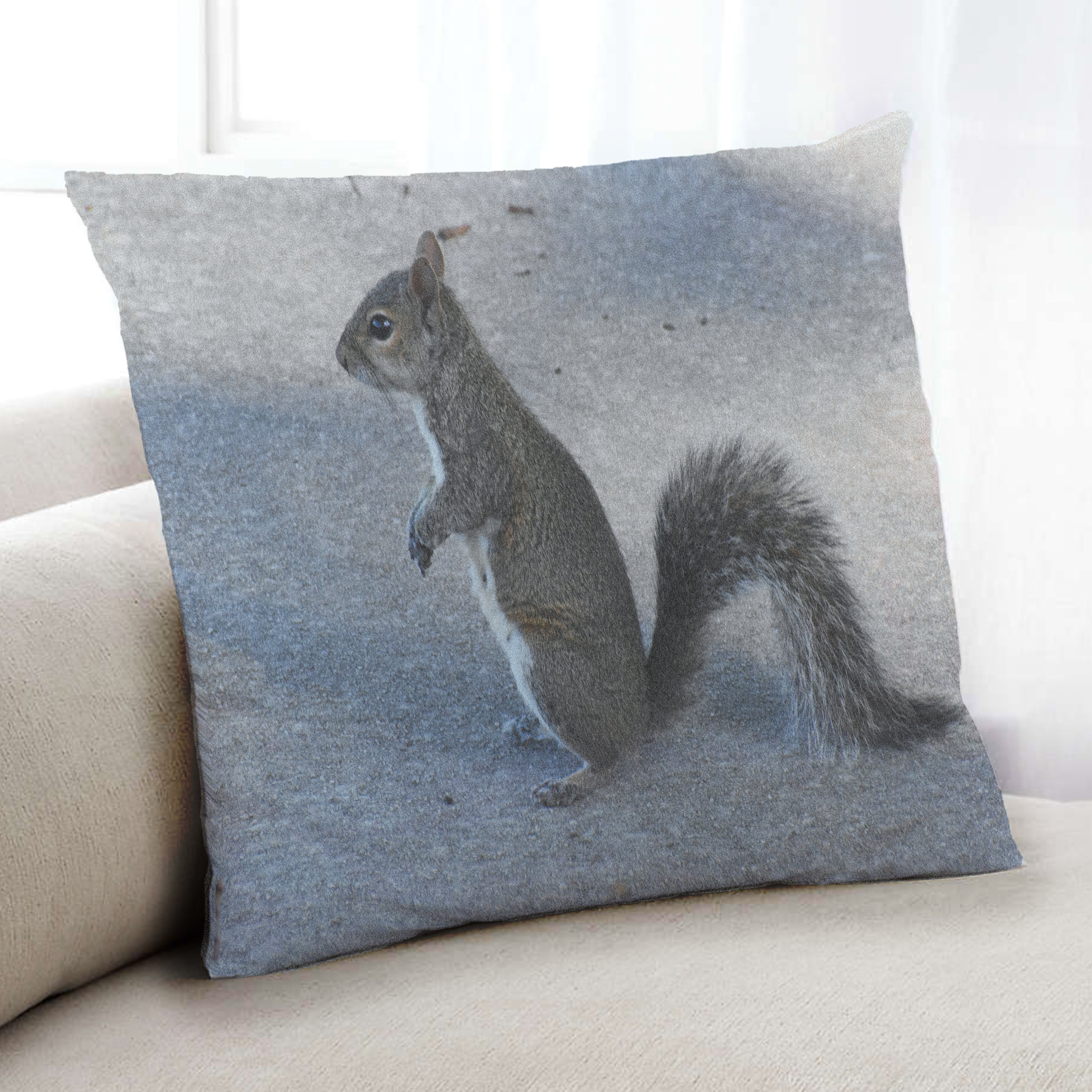 Rug Tycoon Squirrel 19 Throw Pillow | Wayfair