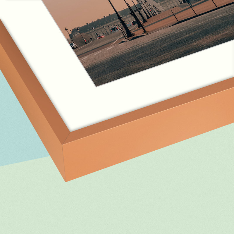 Latitude Run® Ailisa Metal Picture Frame, Photo Frame with Ivory Mat ...