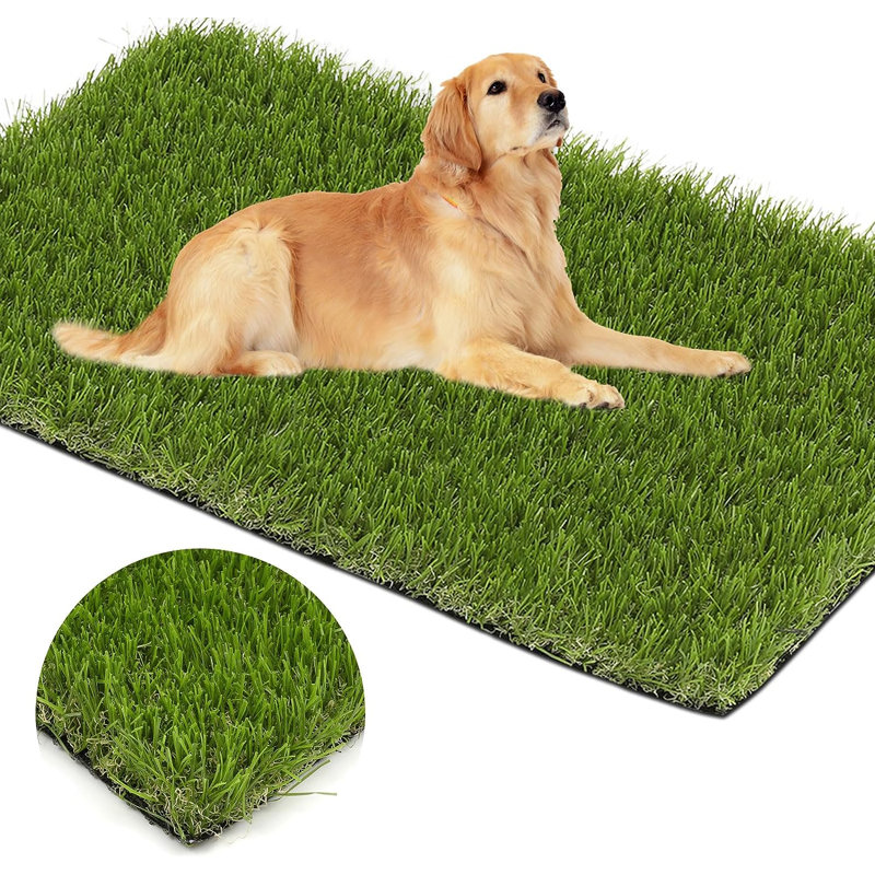 SHACOS Artificial Grass Turf Rugs and Rolls & Reviews | Wayfair
