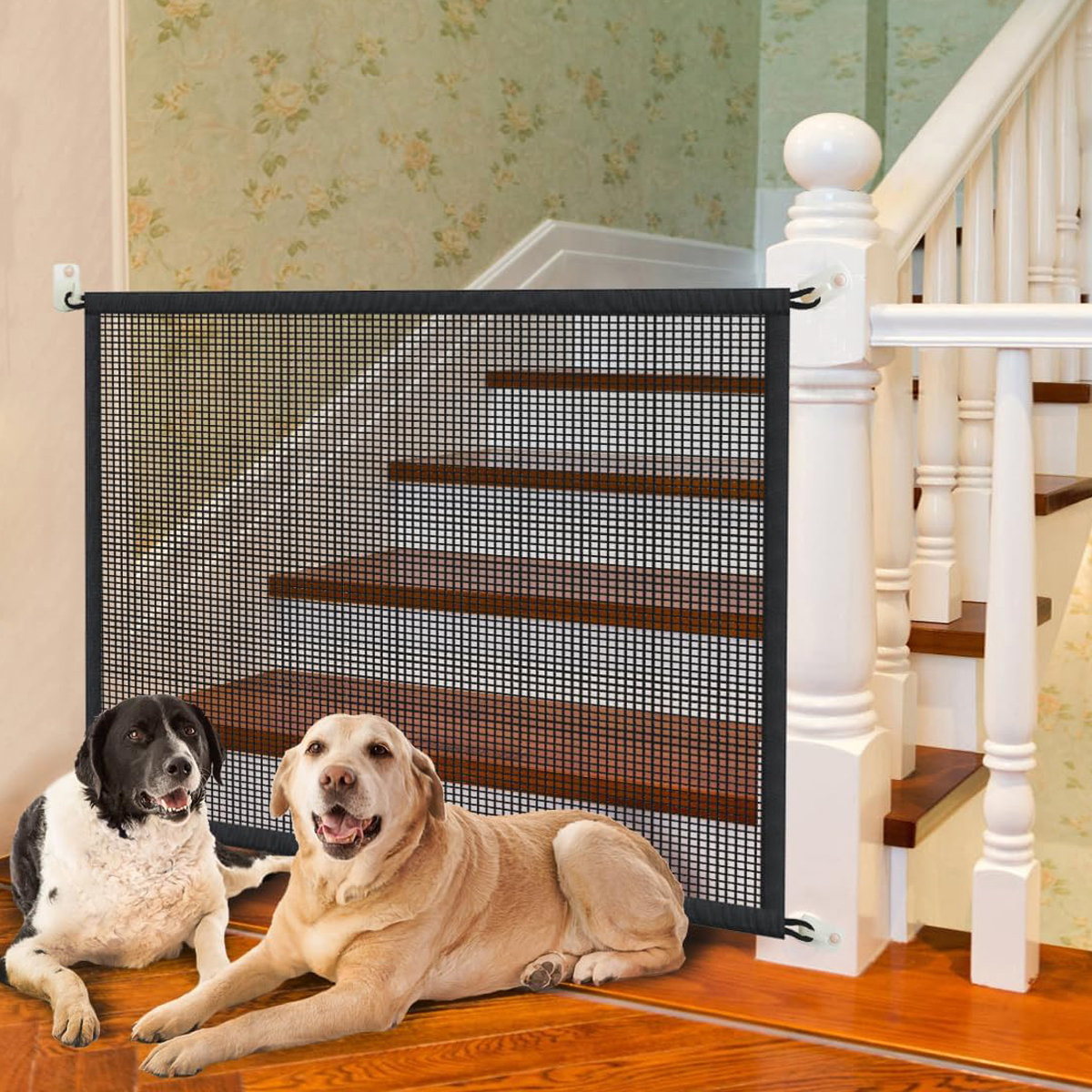 Tucker Murphy Pet™ Dog Gate for Stairs Pet Gates for The House: Dogs ...