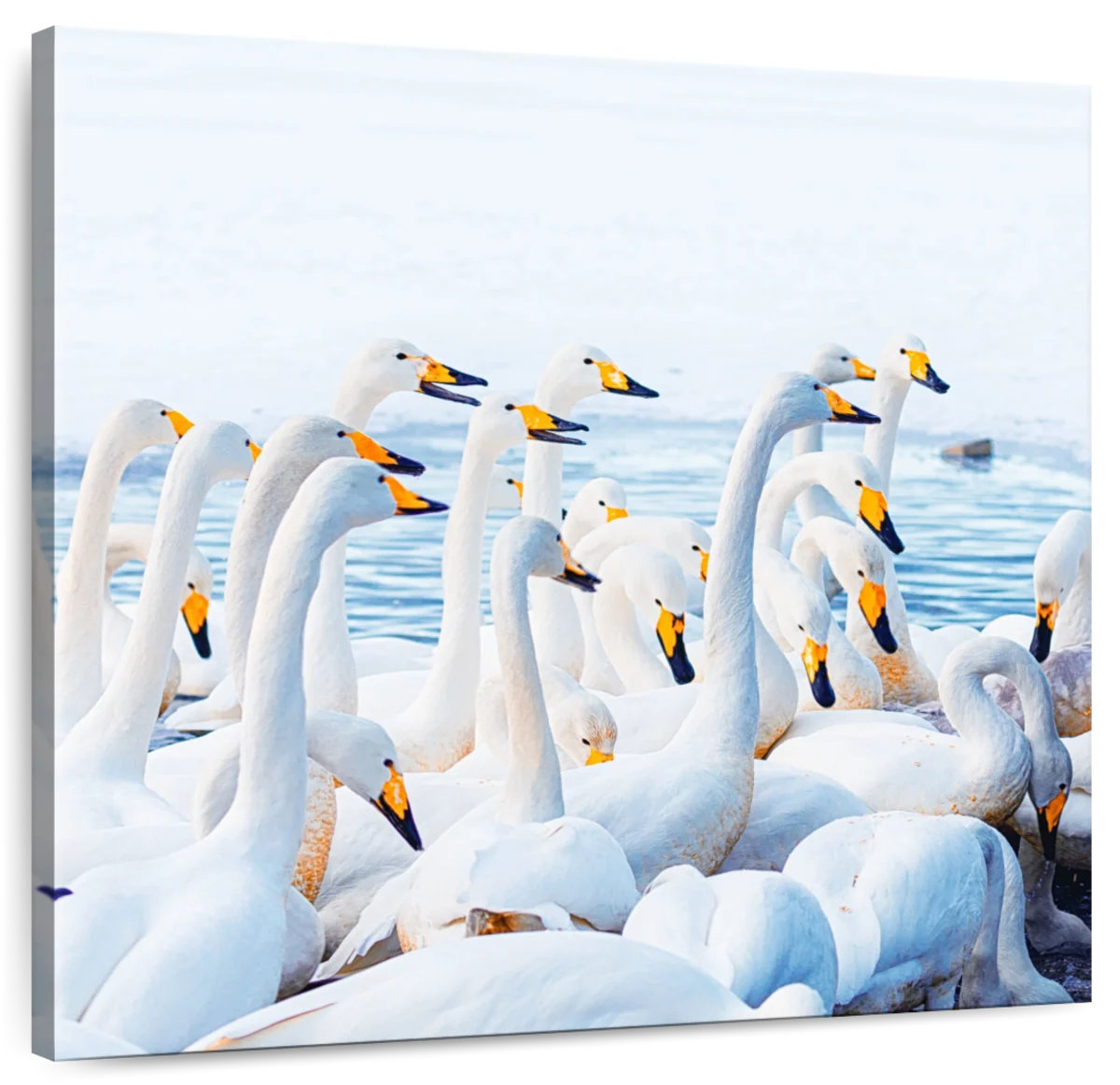 Ebern Designs Crowle Japanese Swans | Wayfair