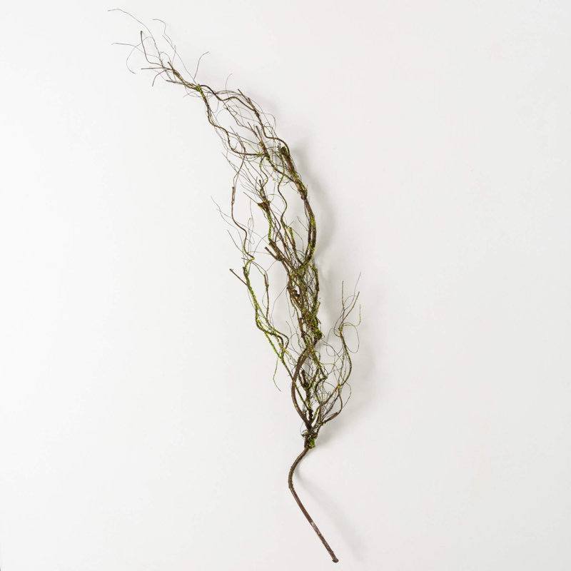 Ophelia & Co. Sullivans Artificial Twig Spray 47"H; Green | Joss & Main