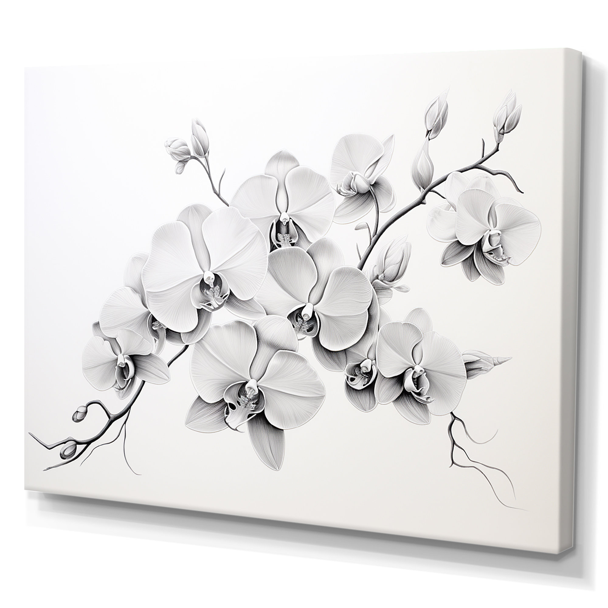 Design Art Black And White Orchid Tranquility II - Orchid Framed Wall ...