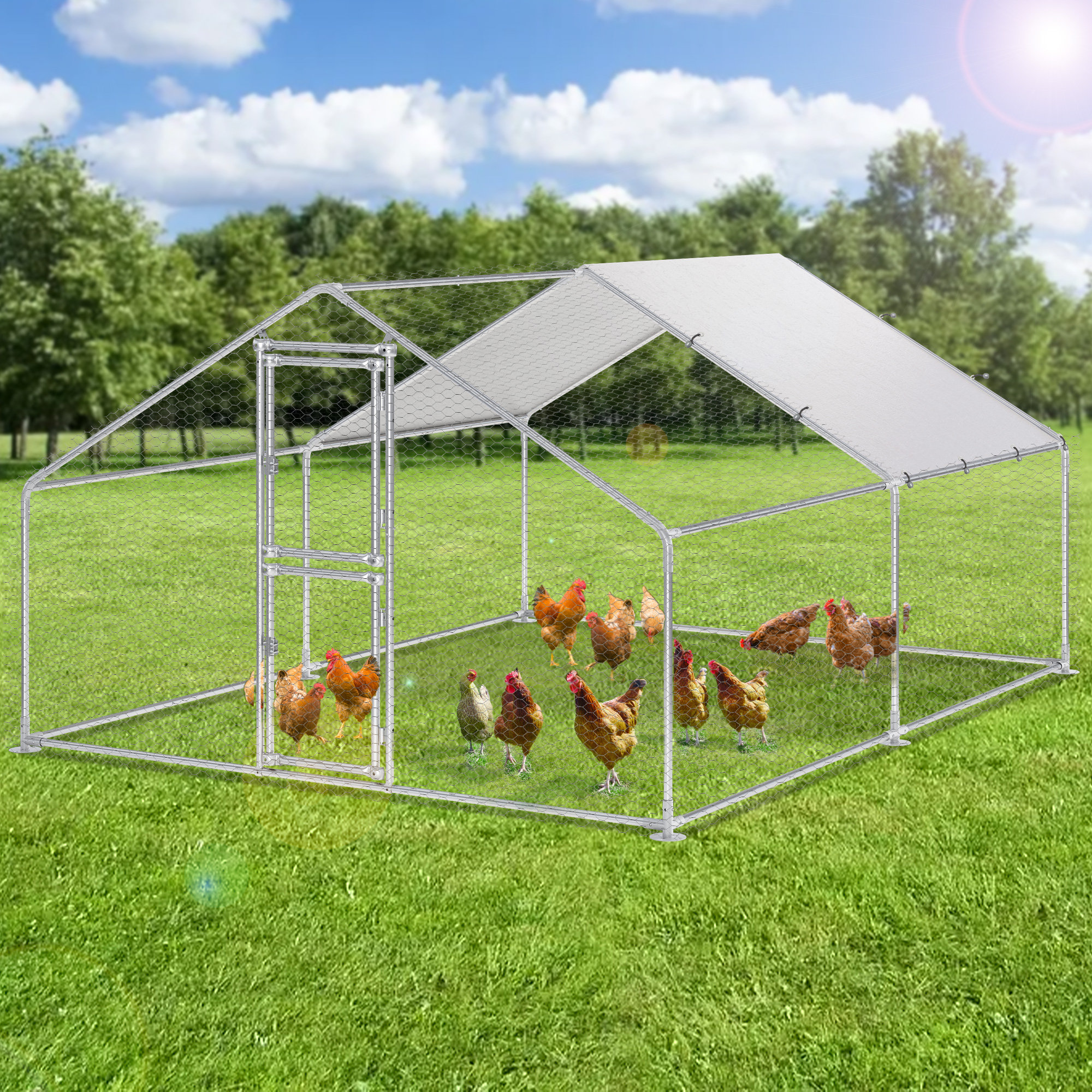 Archie & Oscar Cyril Chicken Run | Wayfair.co.uk