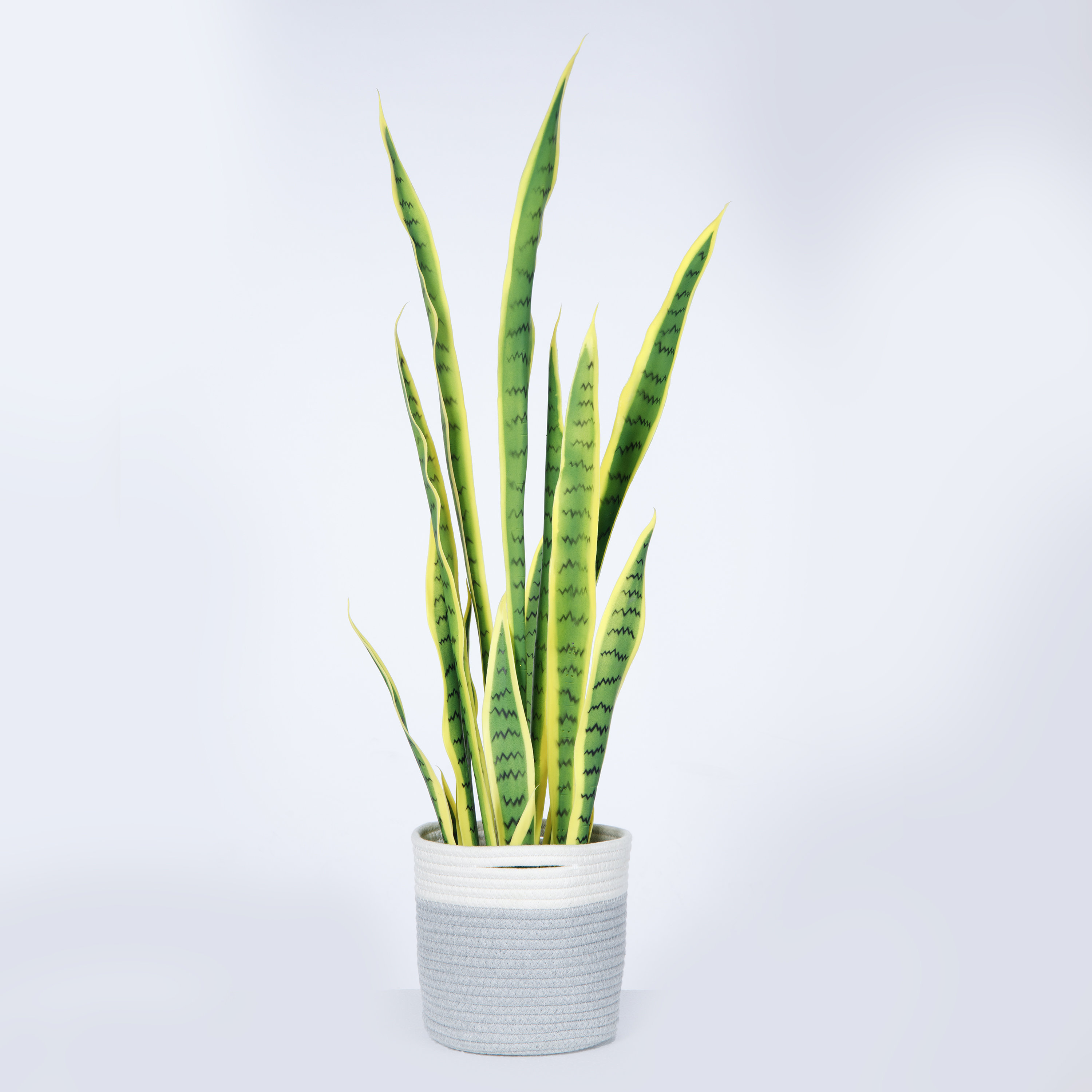 Primrue Chacon 36" Artificial Snake Plant Succulent in Planter | Wayfair