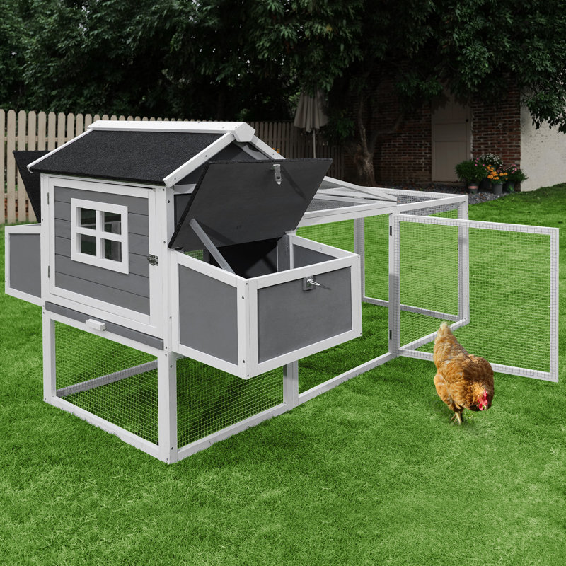 Tucker Murphy Pet™ Enich 10.08 Square Feet Chicken Coop with Chicken ...