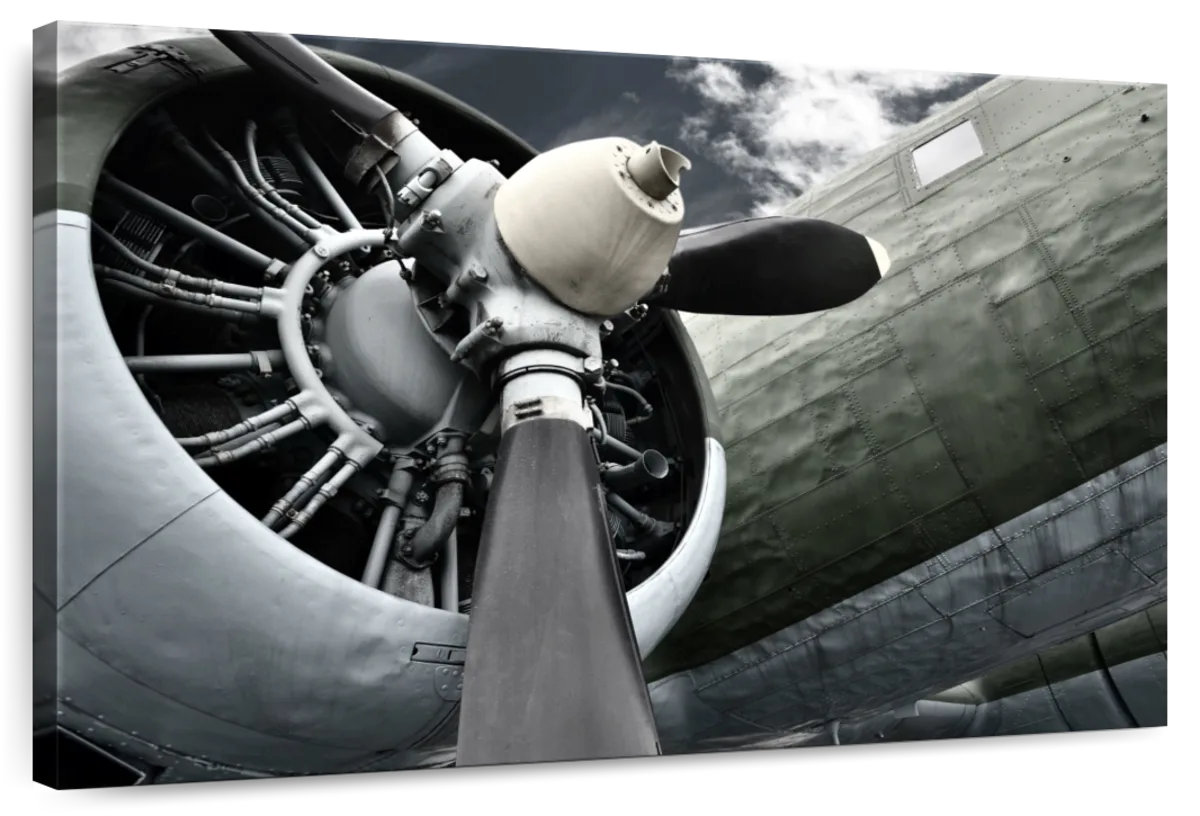 Elephant Stock Black Propeller | Wayfair