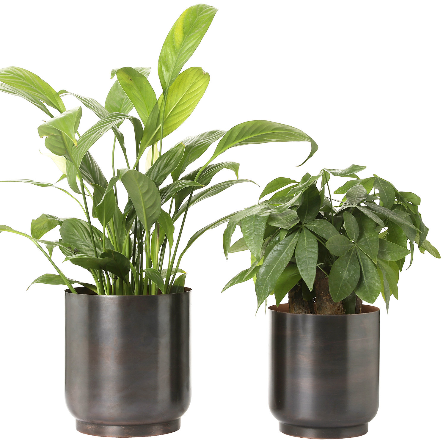 Latitude Run® 2 Pieces Pot Planter Set | Wayfair