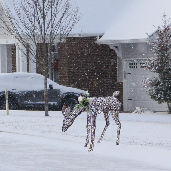 The Holiday Aisle® Frosted Feeding Doe Lighted Display | Wayfair