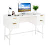 Ebern Designs Coggin 48'' W Rectangle Computer Desk & Reviews | Wayfair