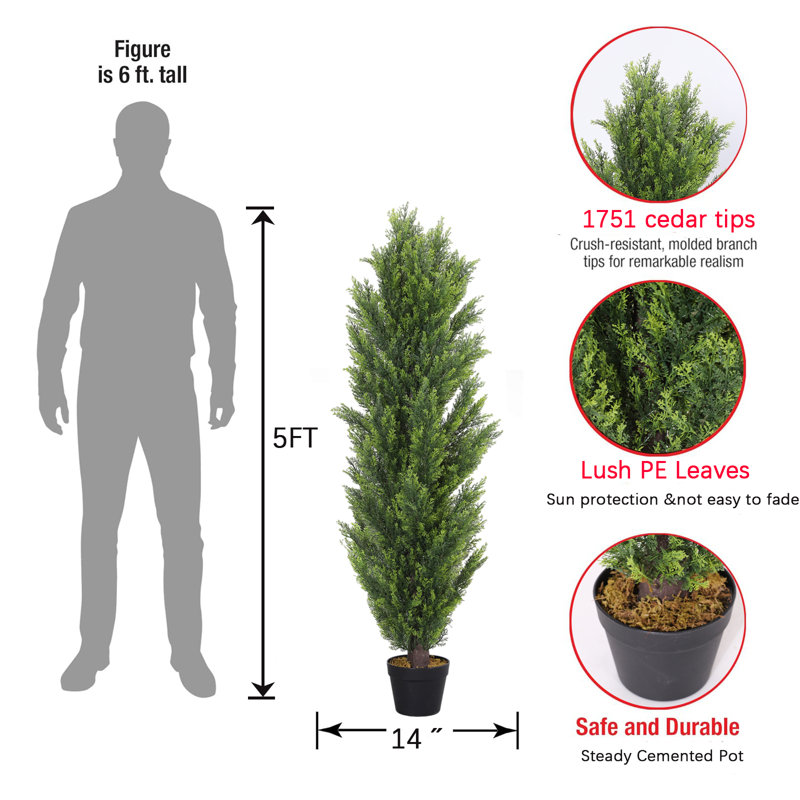 Primrue Faux Cedar Plant in Pot & Reviews | Wayfair