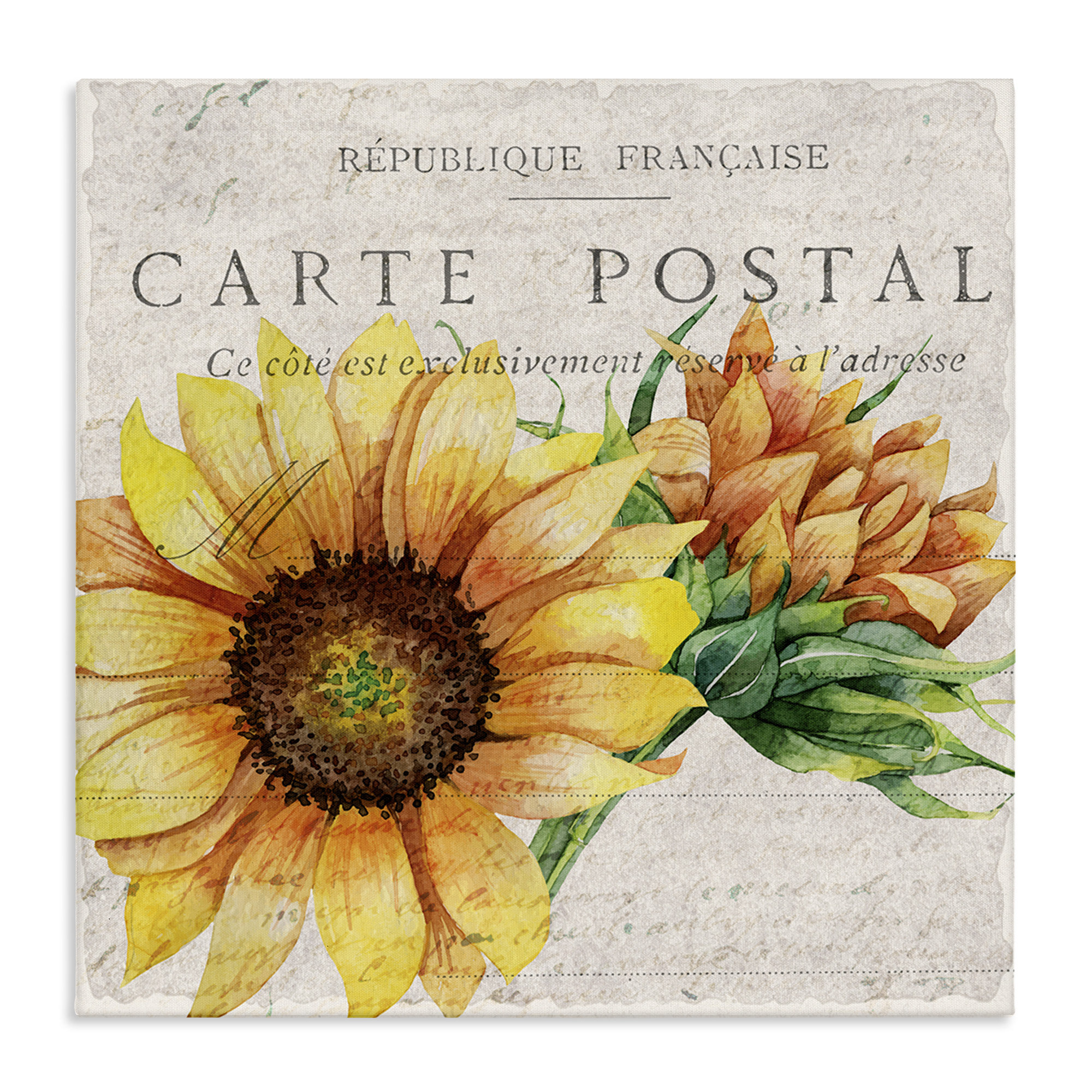 Rosalind Wheeler Vintage French Sunflower Postcard Floral Illustration ...