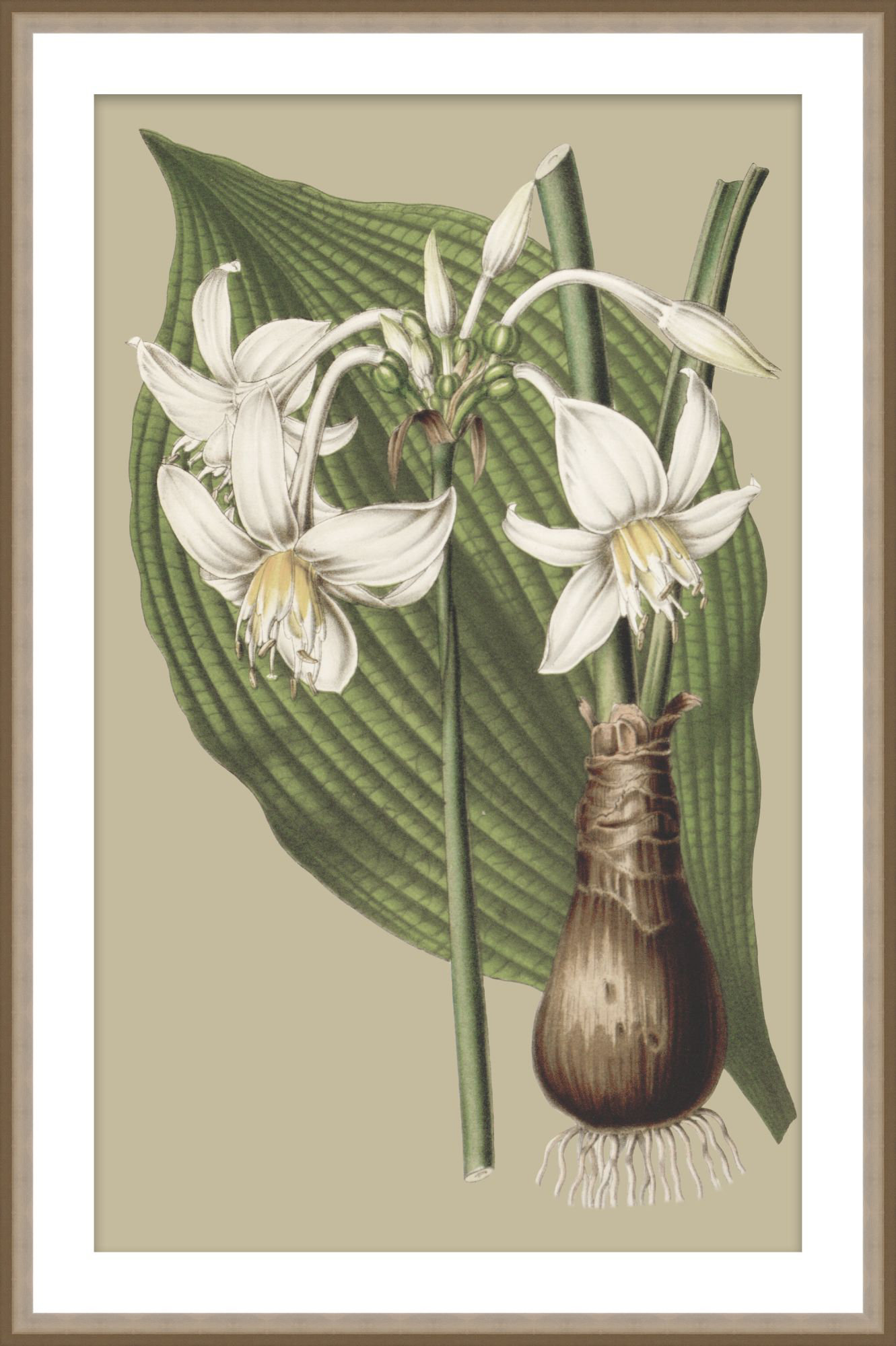 Art House Studios " Botanical Jungle 2 " | Perigold