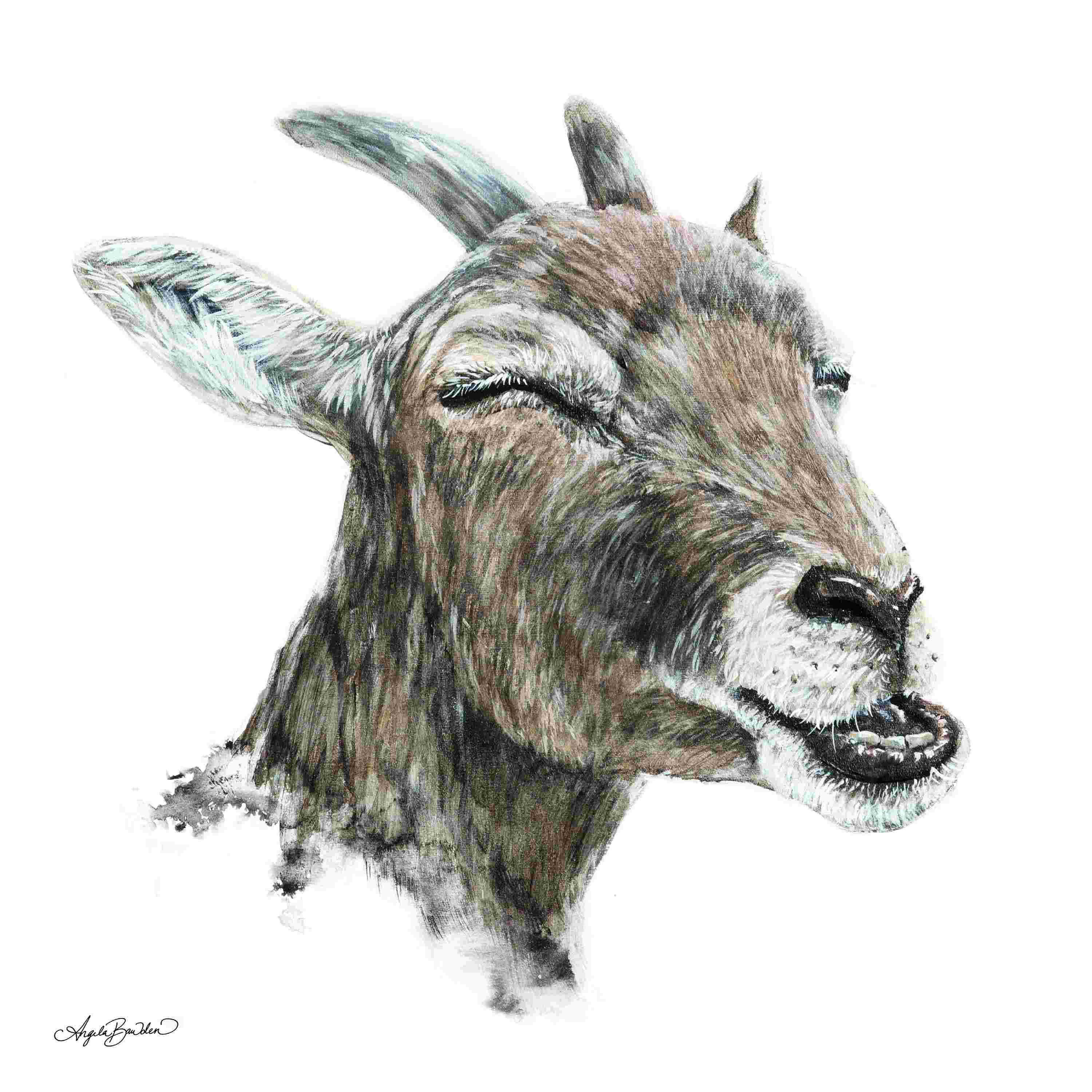 Rosalind Wheeler 2882670_Bill The Goat - Wayfair Canada