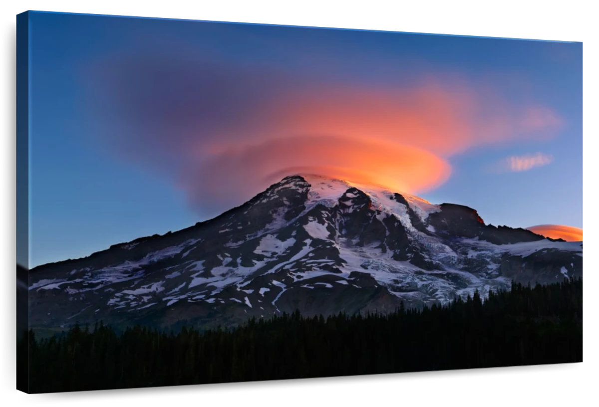 Elephant Stock Mount Rainier Cloud Dome | Wayfair