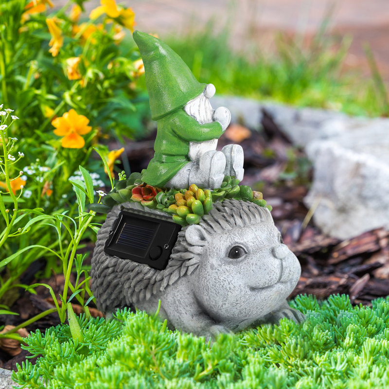 Arlmont & Co. Sefedin Hedgehogs Fairy Garden & Reviews | Wayfair